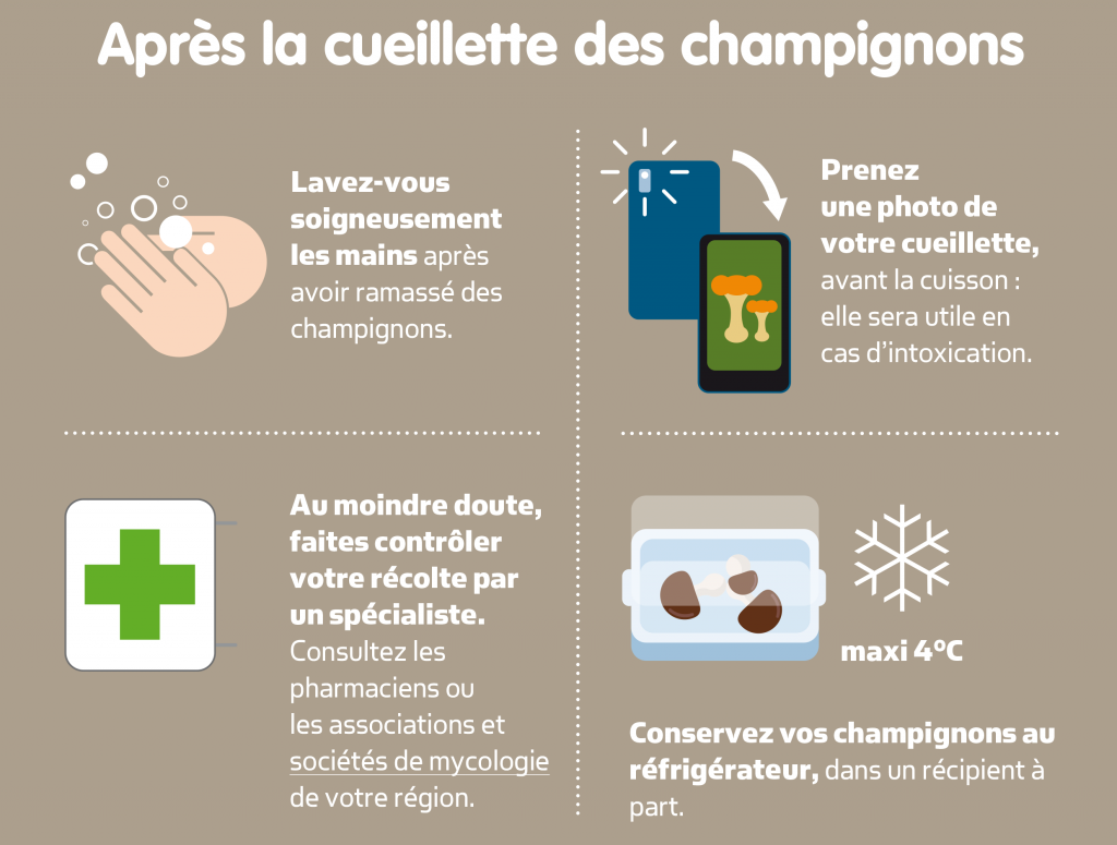 infographie_champi_2 - Yvelines Infos