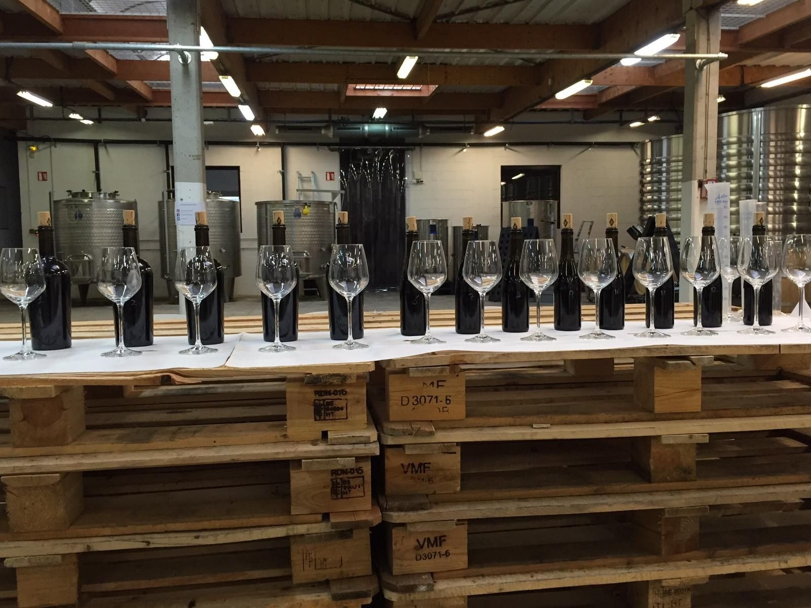 Le vignoble de Davron ressuscite une tradition - Yvelines Infos