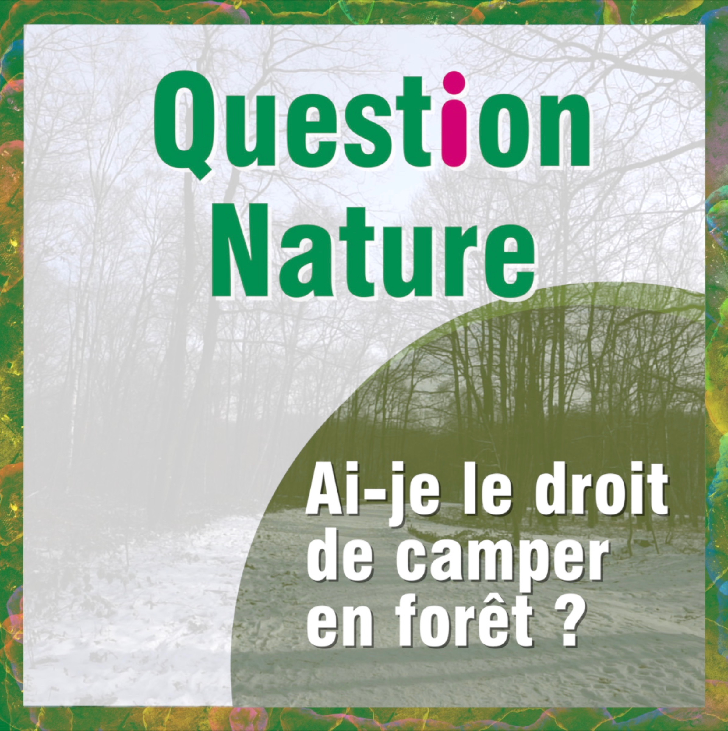 [Question Nature] : Peut-on camper en forêt ? - Yvelines Infos