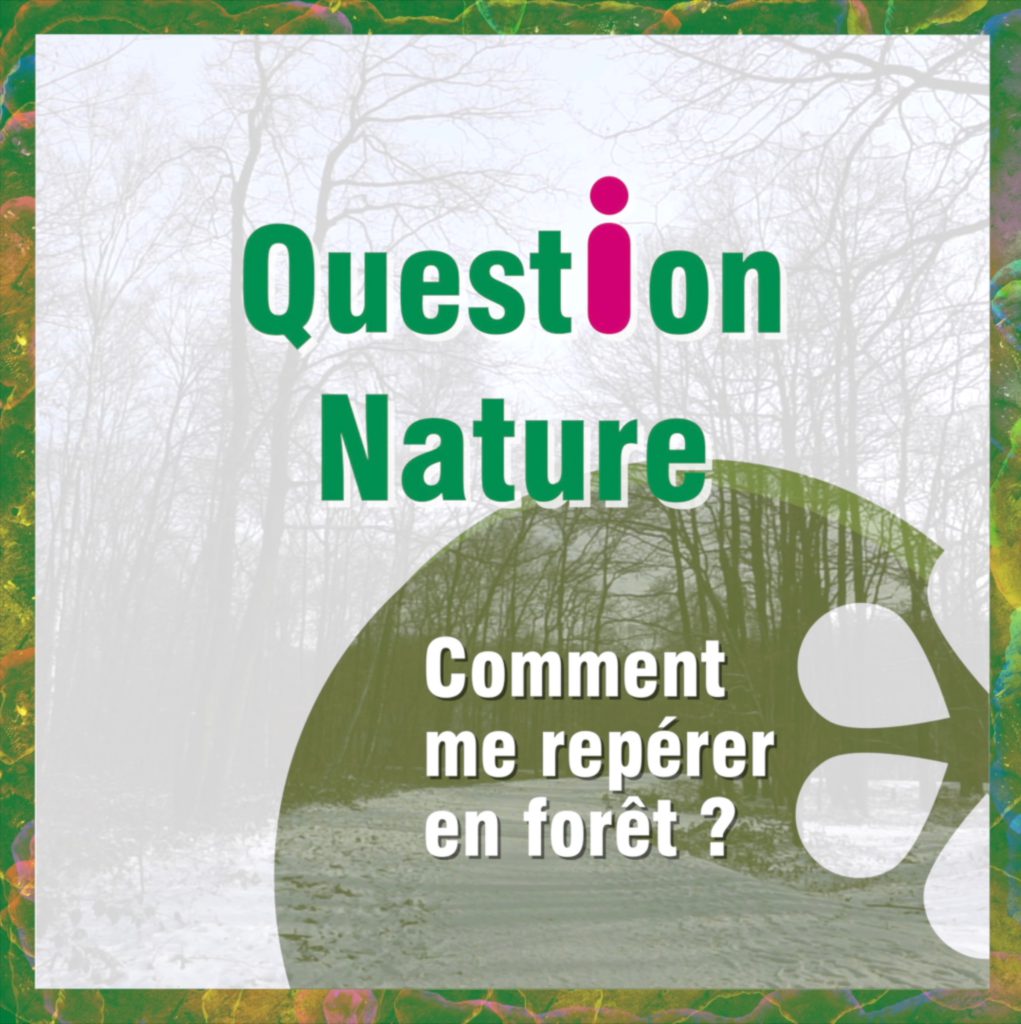 [Question Nature] : Comment me repérer en forêt ? - Yvelines Infos